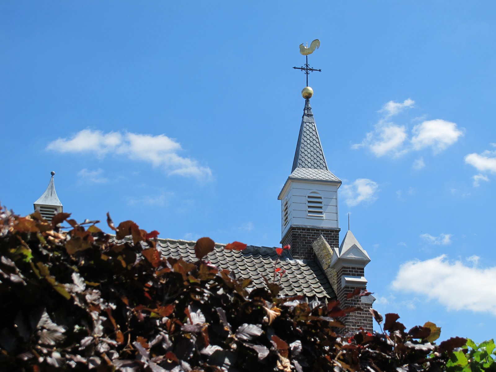 NEDERLAND: Zalk (en omgeving)