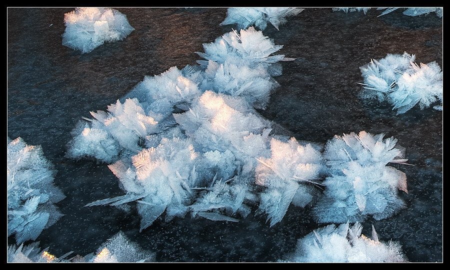 Ice Flowers | Top 10 Famous