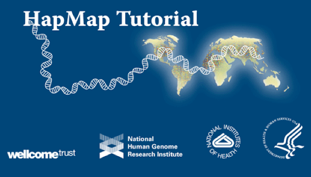 ¿Qué es Quilo de Ciencia?: Proyecto HapMap