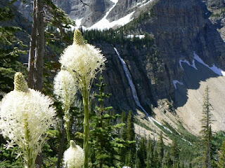 Beyond the Skyline: Crypt Lake, Waterton Lakes National Park, Alberta