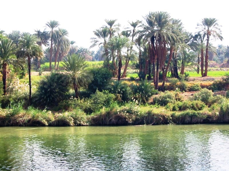 Il Giardino delle Esperidi: Il mistero delle sorgenti del Nilo