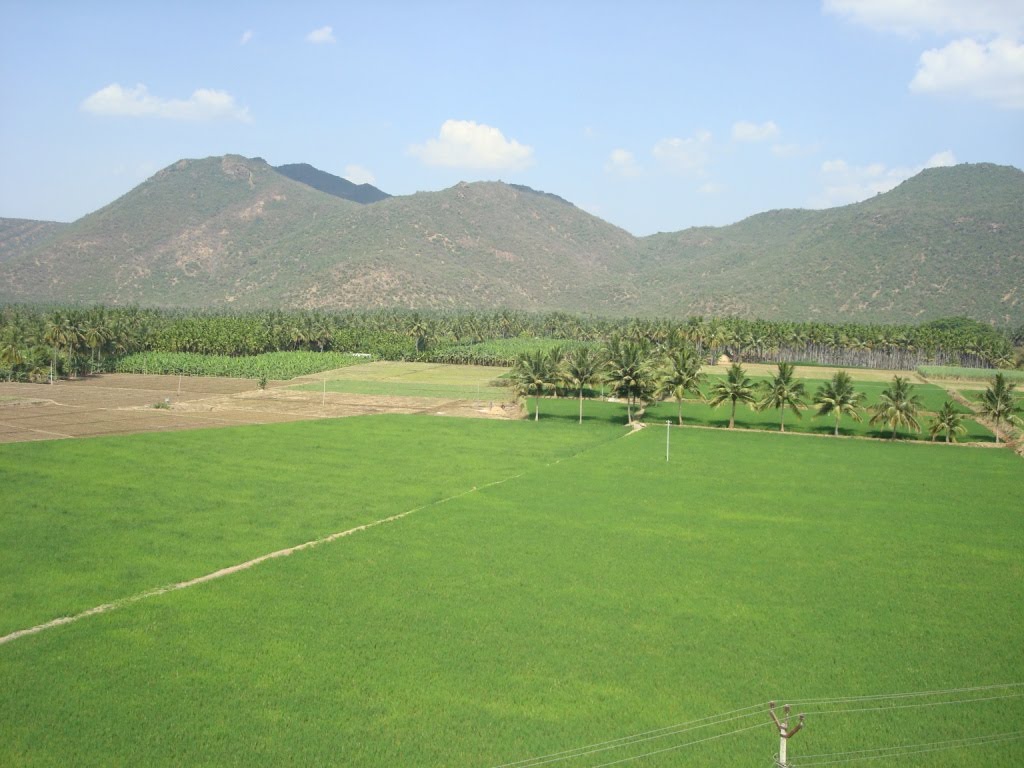 This is the blog abt Gangavalli situated in Salem