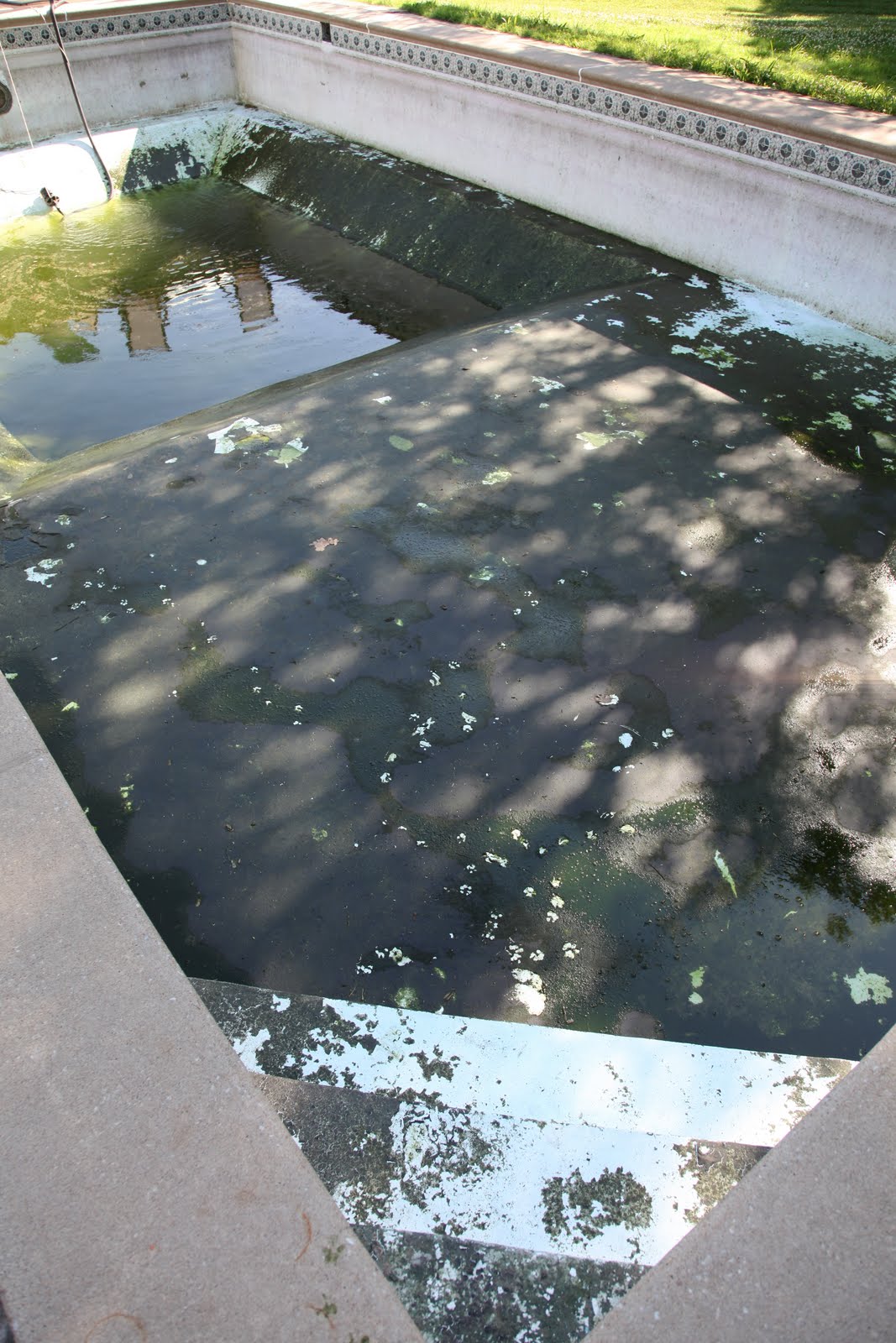 Stillshot Photography: oil spill or sitting by the green algae pool?