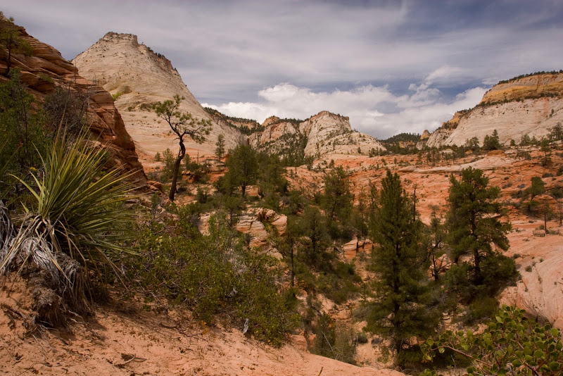 365 Days in Zion: May 2010
