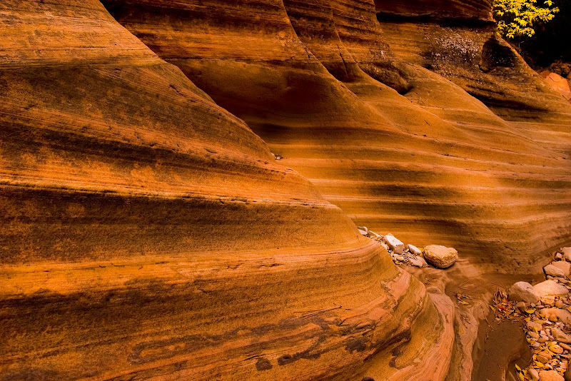 365 Days in Zion: Day 15: October 10, 2004 - Red Rock Waves