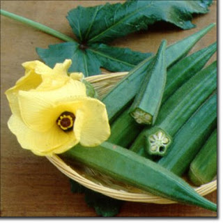 All herbals for life: Okra Vegetable , herbs for beautiful women , for ...