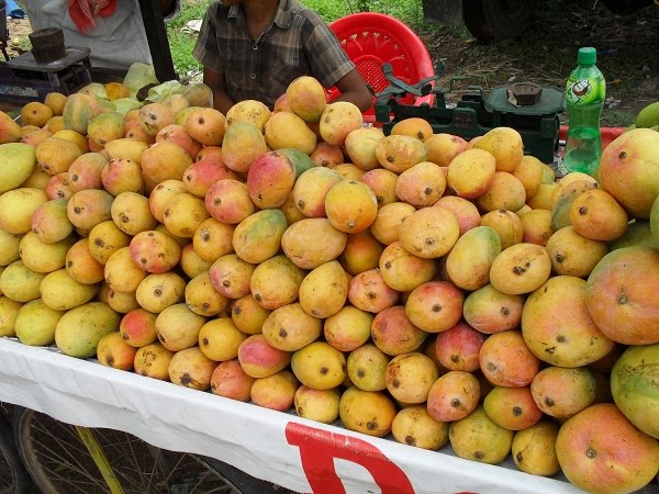 MANGO MANIA - Chamandi - Mango Chutney