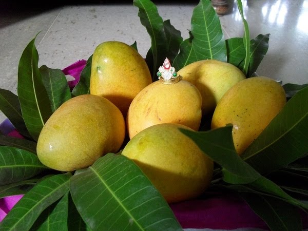 Mango Mania! Maha Mango Mela! The great mango festival!