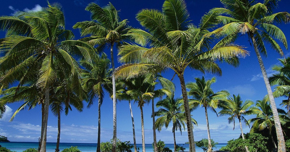 Webshots Photo Gallery