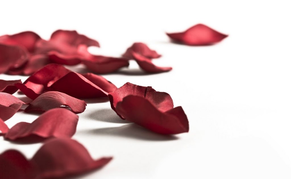 Business Stock Photos || Leadership, Team work || Awesome Business ...