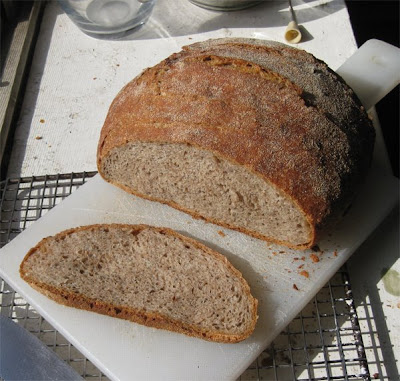 Easy No Knead Sourdough Rye Bread | The Mad Fermentationist ...
