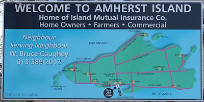 Bruce Di Labio's Blog: A few more photos from Amherst today