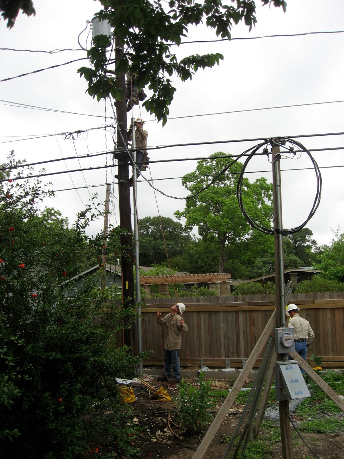 Green House, Good Life: May 2010