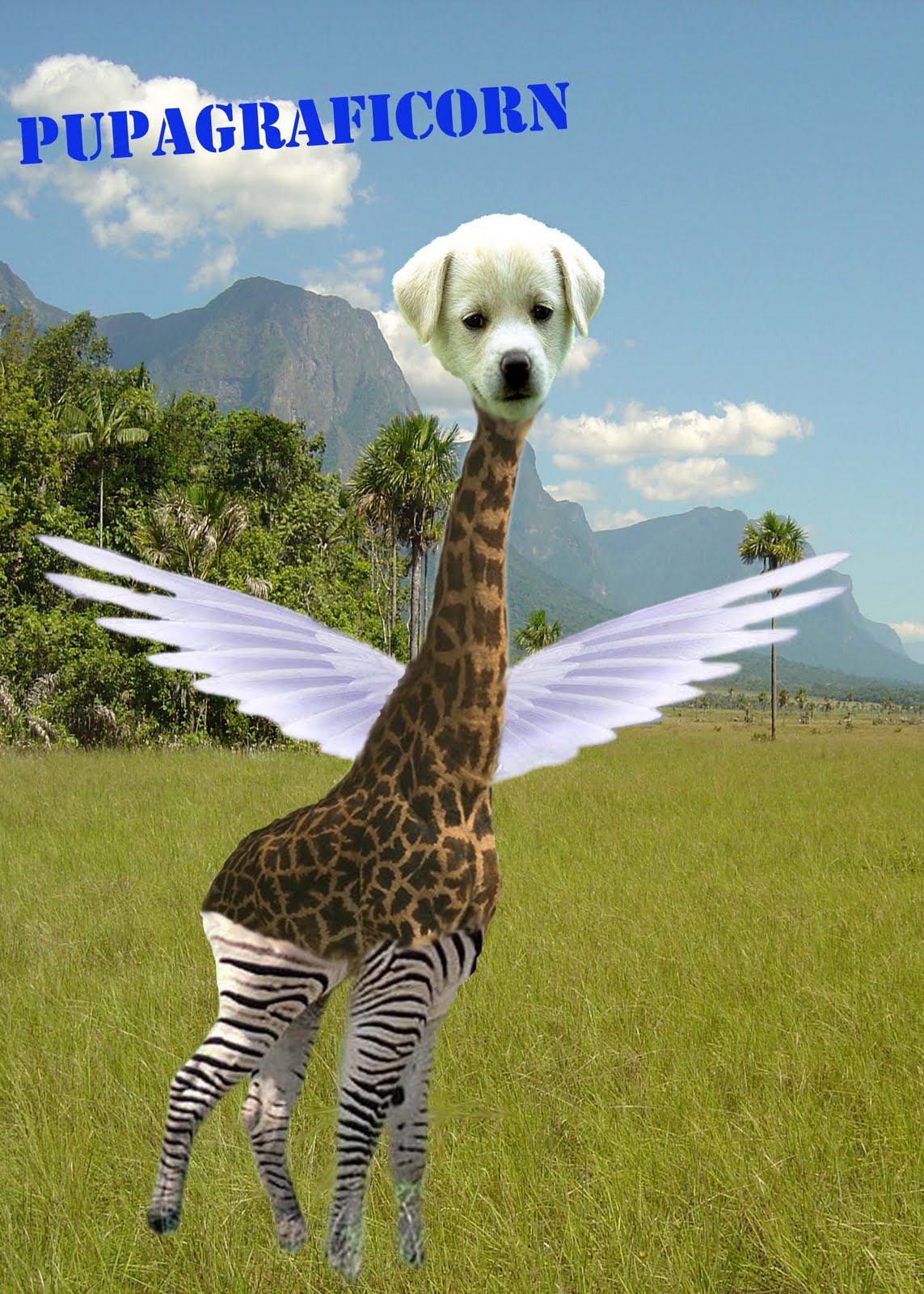 Jordan's Blogg(:: Crazy Combos(: