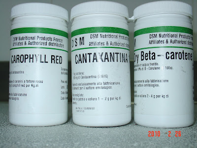 CANÁRIOS FAÍSCA: FOTO DE CANTANXANTINA/BETA-CAROTENO E CAROPHIL RED.