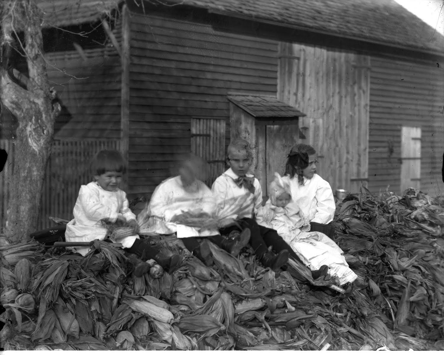 Bev's Antiquing, Schlepping, Schlogging, & Writing Blog Schlog: My ...