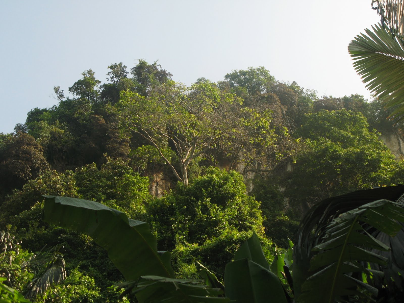 SiputKuning Journal: The Secrets of Gua Kandu: Revealed