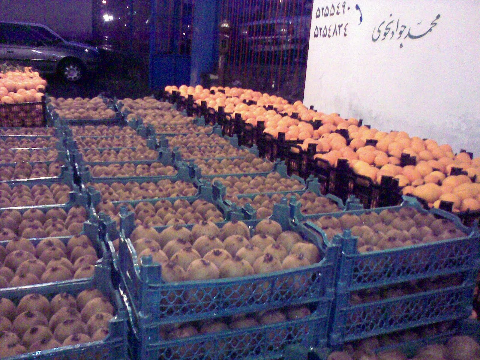 Iran Travel, Tourism Blog: Iranian fruits and gardens