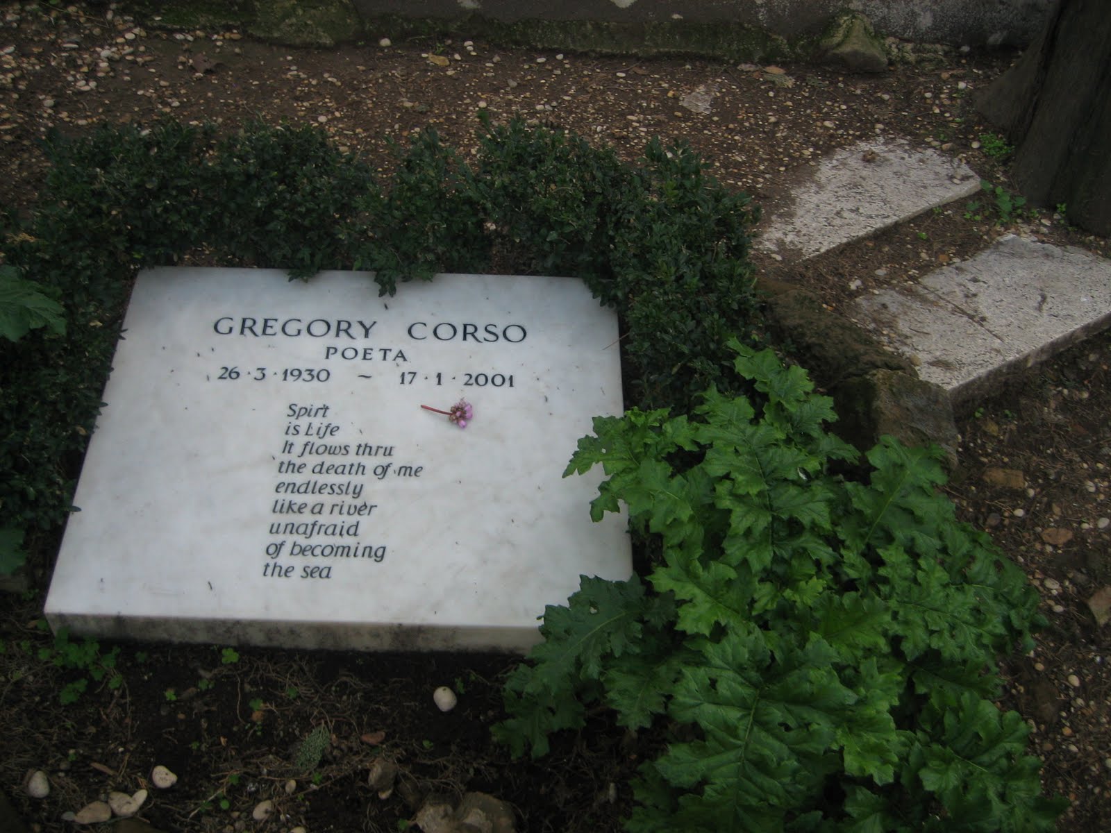 La nave de los locos: enero 2011