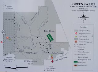 The Florida Trail: Green Swamp East