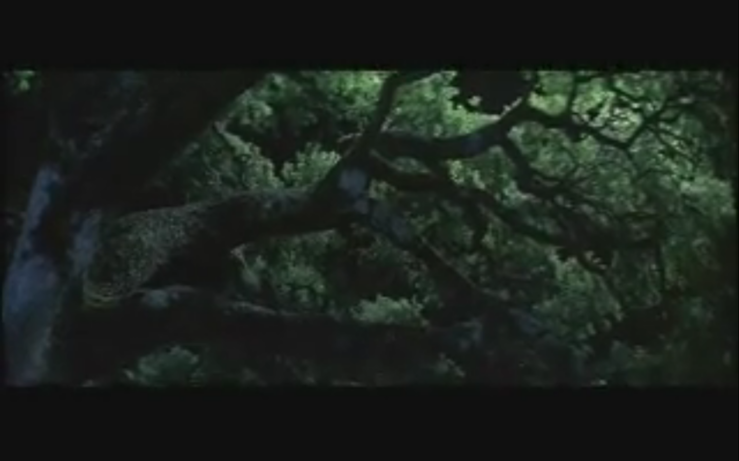 AS Media Coursework Research: Case Study 1: Scream