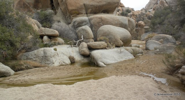 kinexxions: Willow Hole Trail