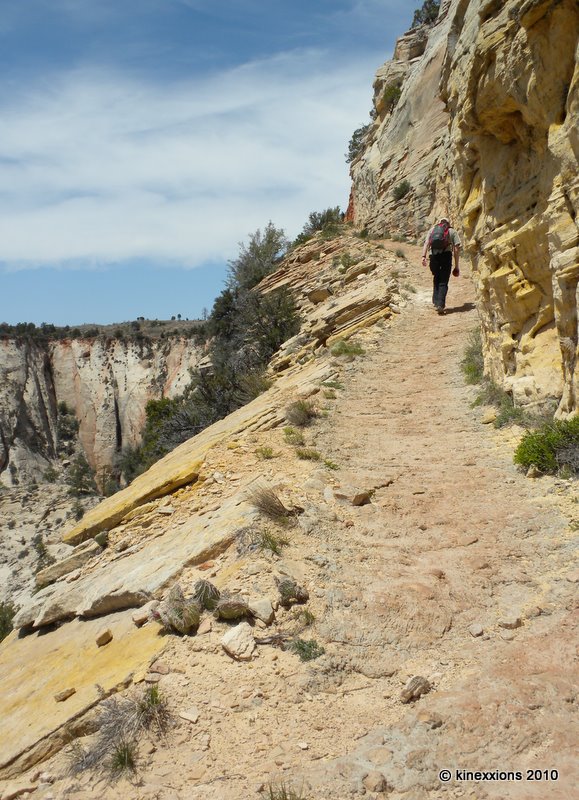 kinexxions: Observation Point