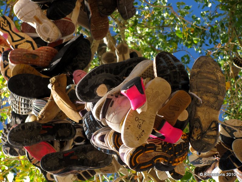 kinexxions: Redefining "Shoe Tree"