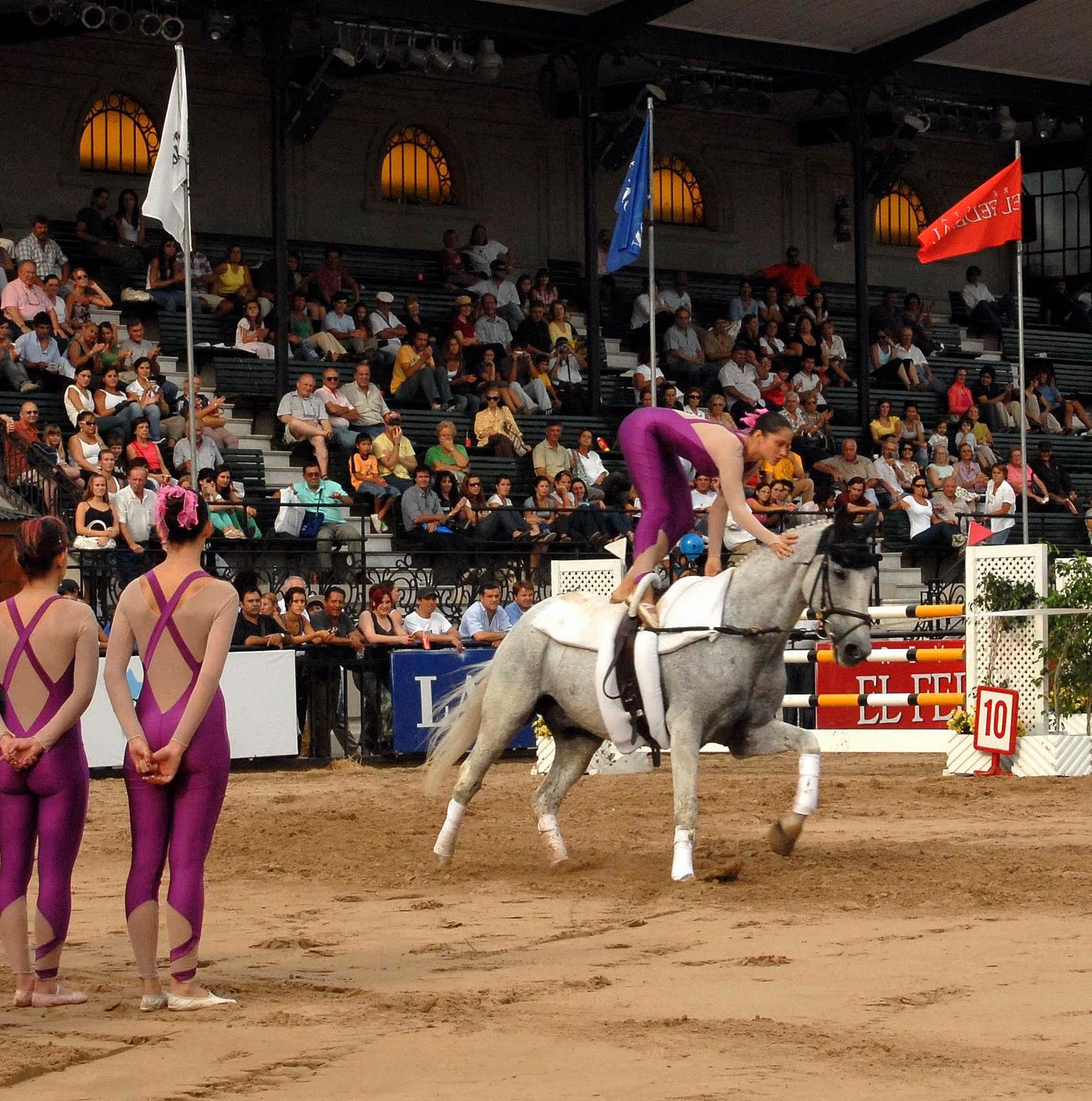 Ferias & Congresos: Nuestros Caballos a pleno galope