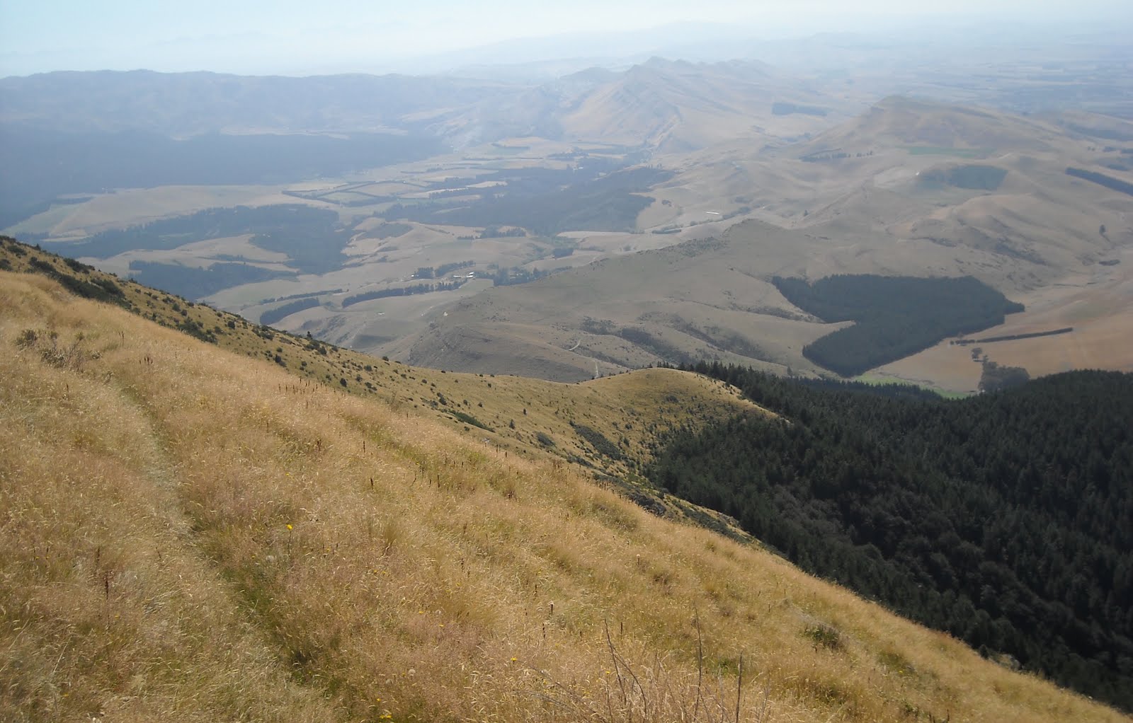 Woza Wanderer: Mt Grey Ghosts