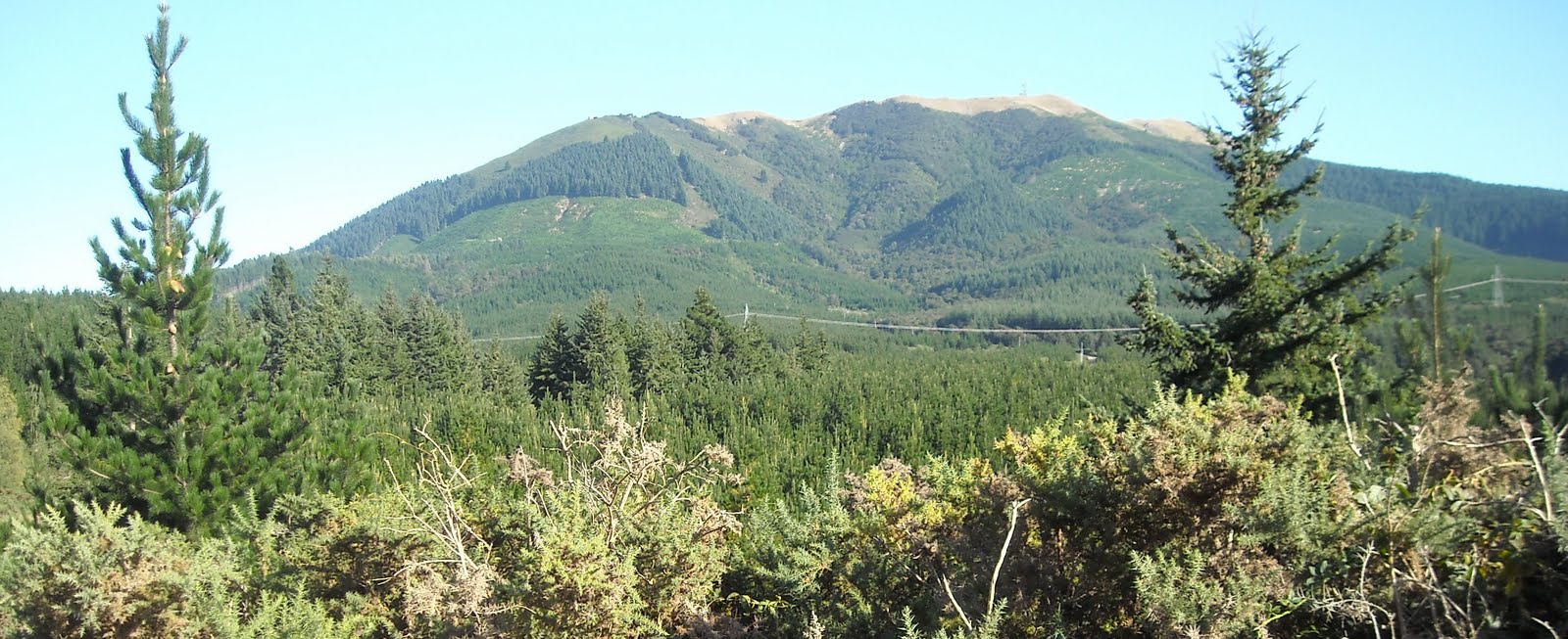 Woza Wanderer: Mt Grey Ghosts