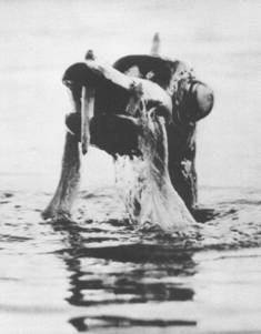 Caldwell-Lake George Library: Summer Reading and the Lake George Monster