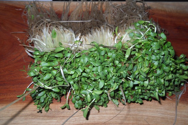 Cooking Escapades: Baby Fenugreek - Barik Methi ki sabzi