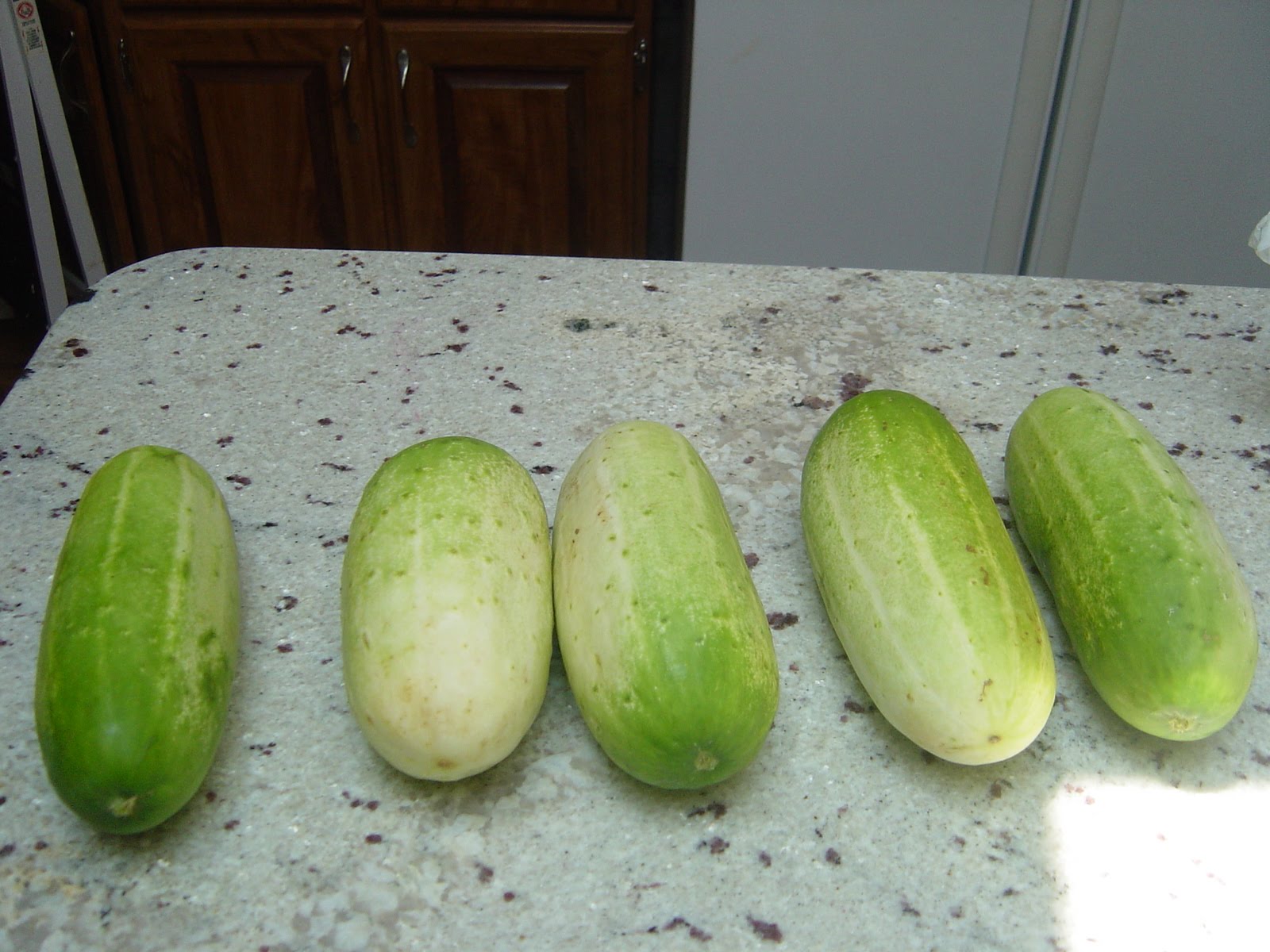 Temple of Adventure: Chicken, Pickles, Frogs and GOOBERS!!!