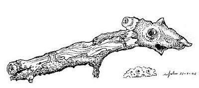 Arte della Natura: ANIMALI DEFORMI E MOSTRI INQUIETANTI: è la Natura ...