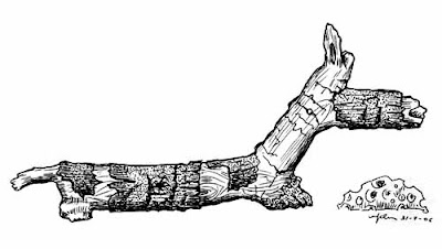 Arte della Natura: ANIMALI DEFORMI E MOSTRI INQUIETANTI: è la Natura ...