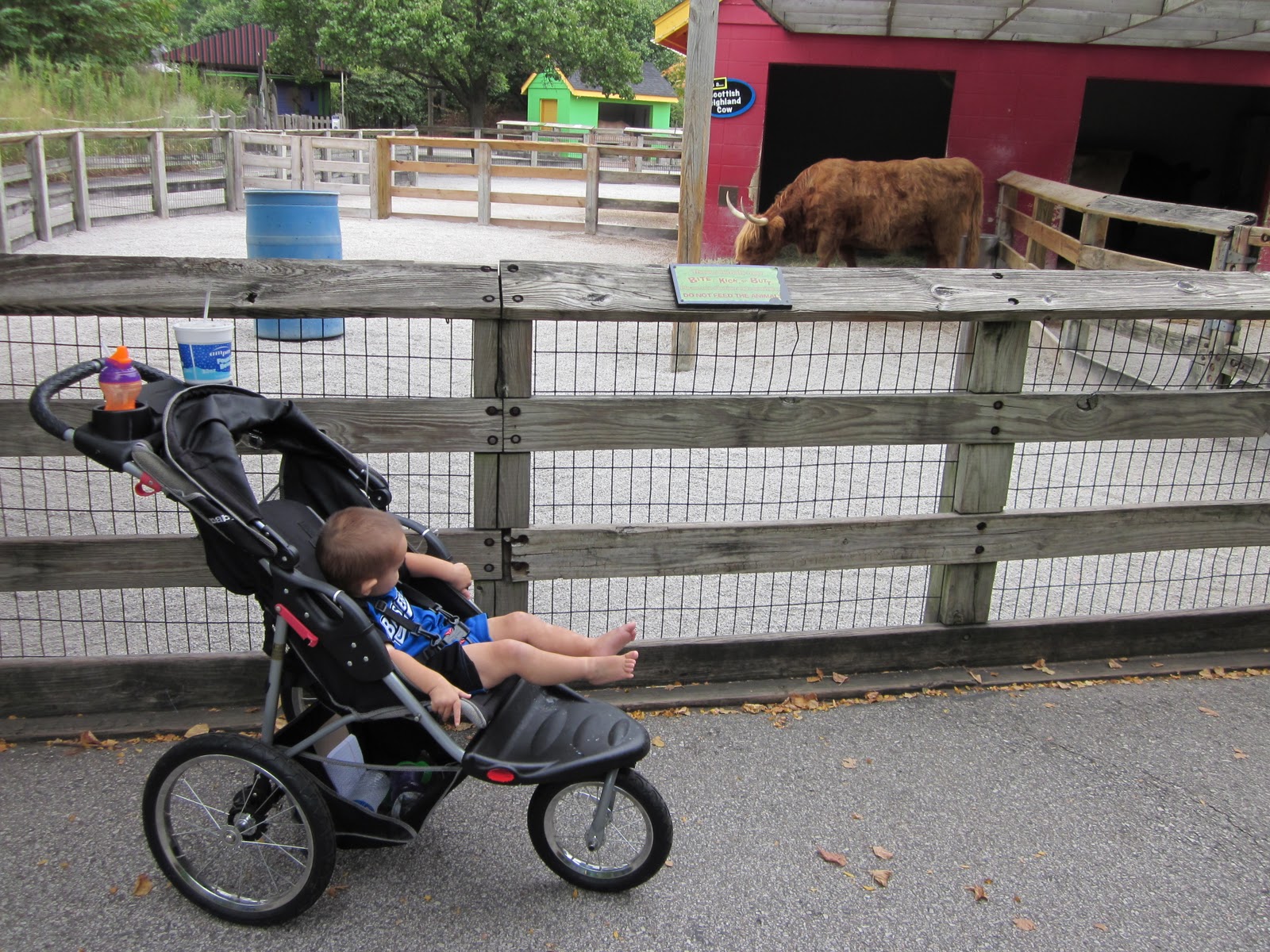 Arrows Sent Forth: The Indianapolis Zoo: We're now a card-carrying ...