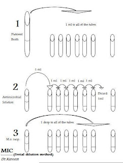 ERU_Microbiology & Immunology Dept.: M.I.C. "Serial dilution method"