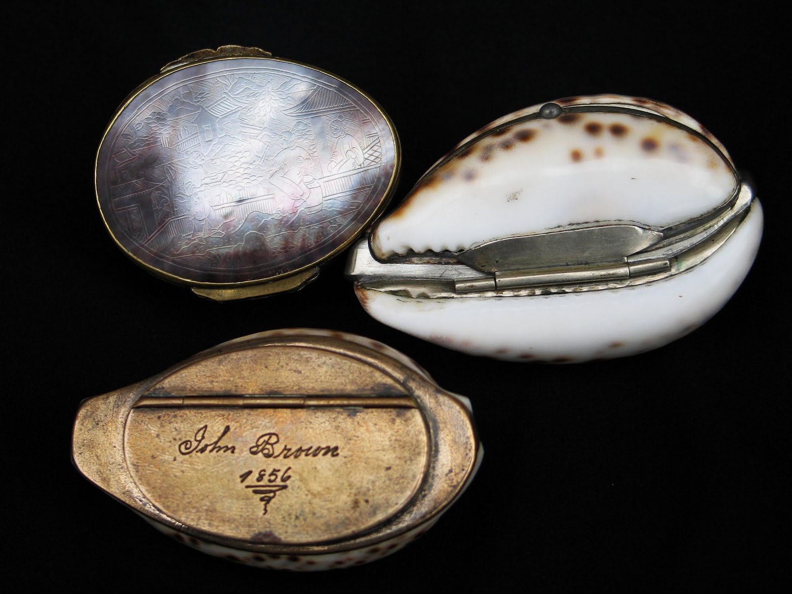 PORTOBELLO ANTIQUES: COWRIE SHELL SNUFF BOXES