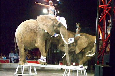 UniverSoul Circus Is a Non-Stop Party ~ Grown People Talking