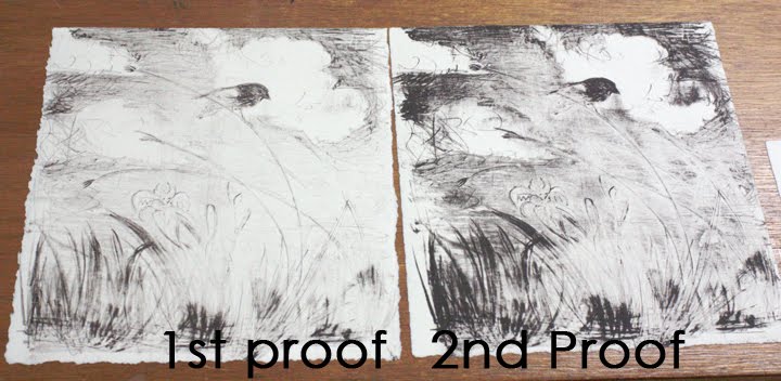Mirka Hokkanen: Two etching techniques and Pronto plate results