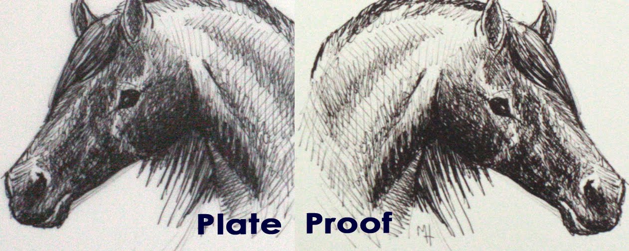 Mirka Hokkanen: Two etching techniques and Pronto plate results
