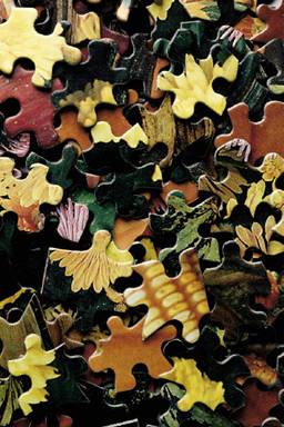 Regina Gardner Ministries: As Christians, We Should Be Puzzle Pieces ...