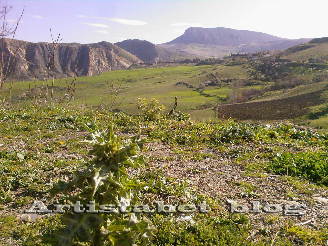 Bougaa, Setif, Algérie. N.E.W.S