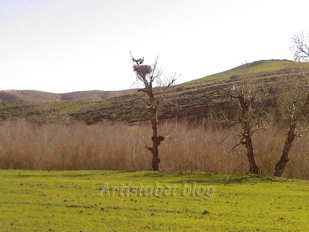 Bougaa, Setif, Algérie. N.E.W.S