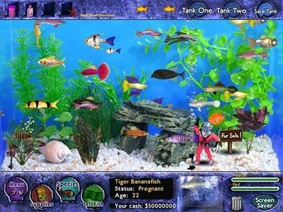 Play Growing Fish Games: Software Free Download - filesless