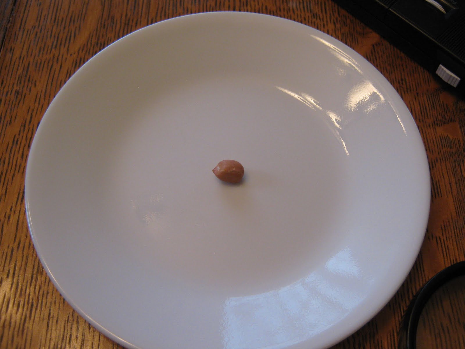 Almost Unschoolers: Finding the Plant in The Peanut - Science for Children