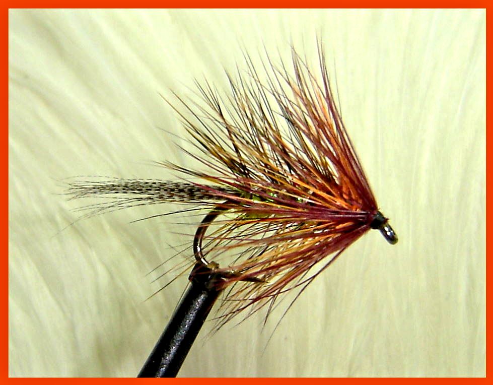 Hillend Dabbler: A Loch Fly