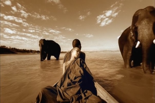 Fotografias de Gregory colbert ~ Solountip.com