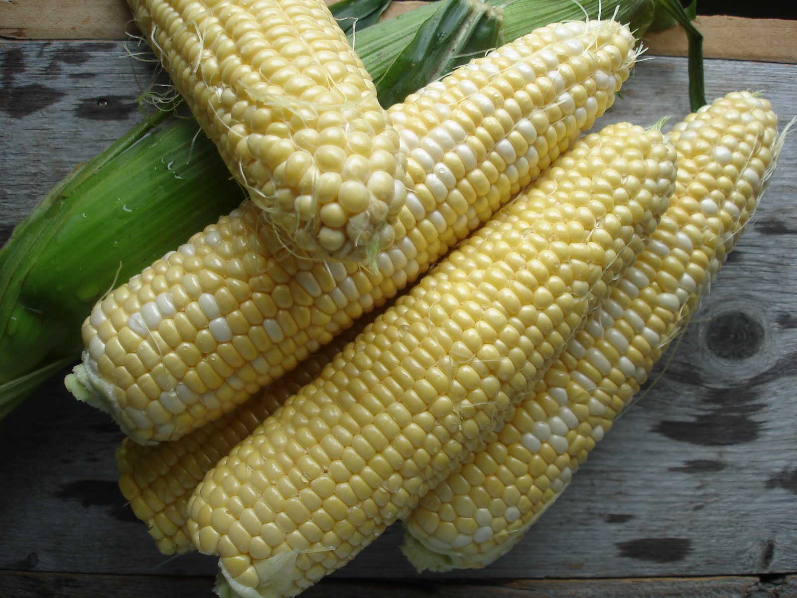 Let's Get Corny!